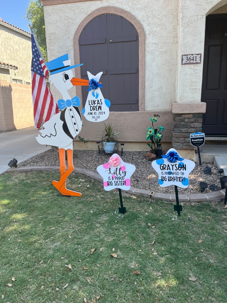 Lily And Grayson Welcome Home Their Baby Brother Lukas in Gilbert ...