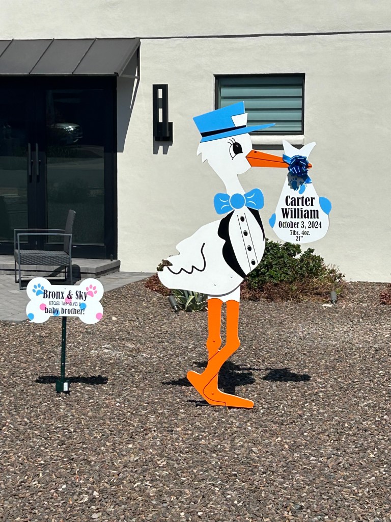 Its a Boy in Scottsdale Arizona - Sunny Storks
